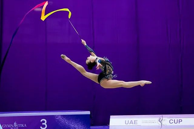 Международный турнир по художественной гимнастике Центр спортивной подготовки сборных команд